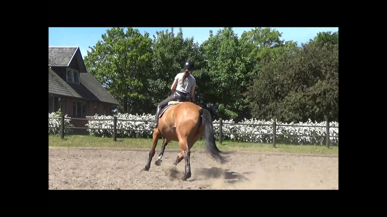 Christine Rohde - YouTube