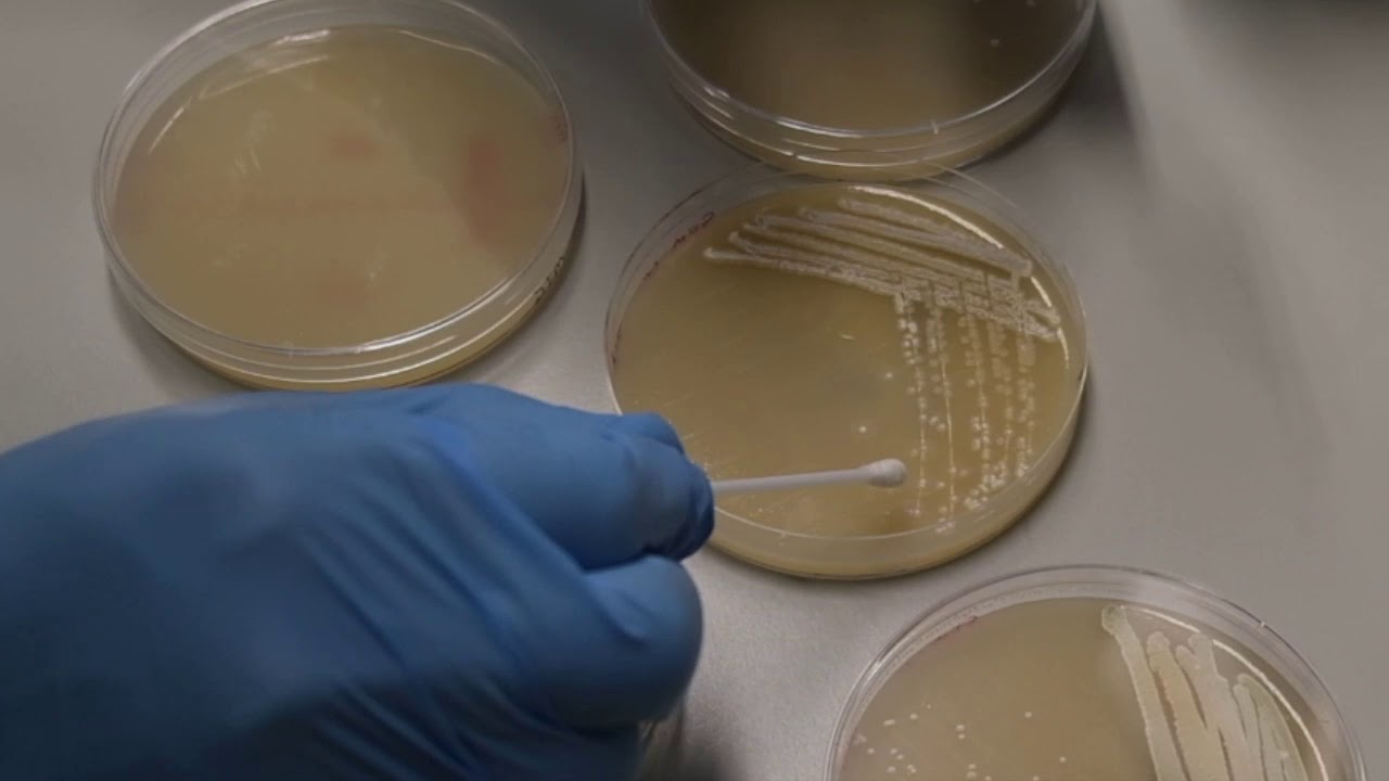 IEM Lab Day 4A no voiceover - YouTube