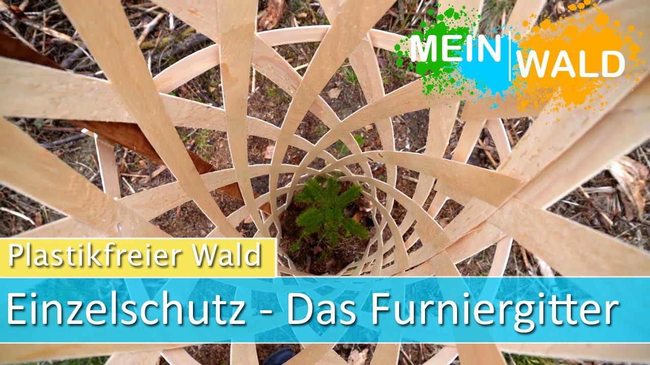 FURNIERGITTER aus Holz als Einzelschutz - Alternative - YouTube