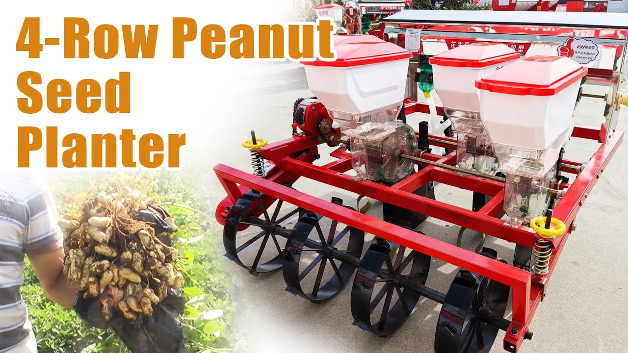 Efficient 4-Row Peanut Planter in Action – Precision Farming at Its ...