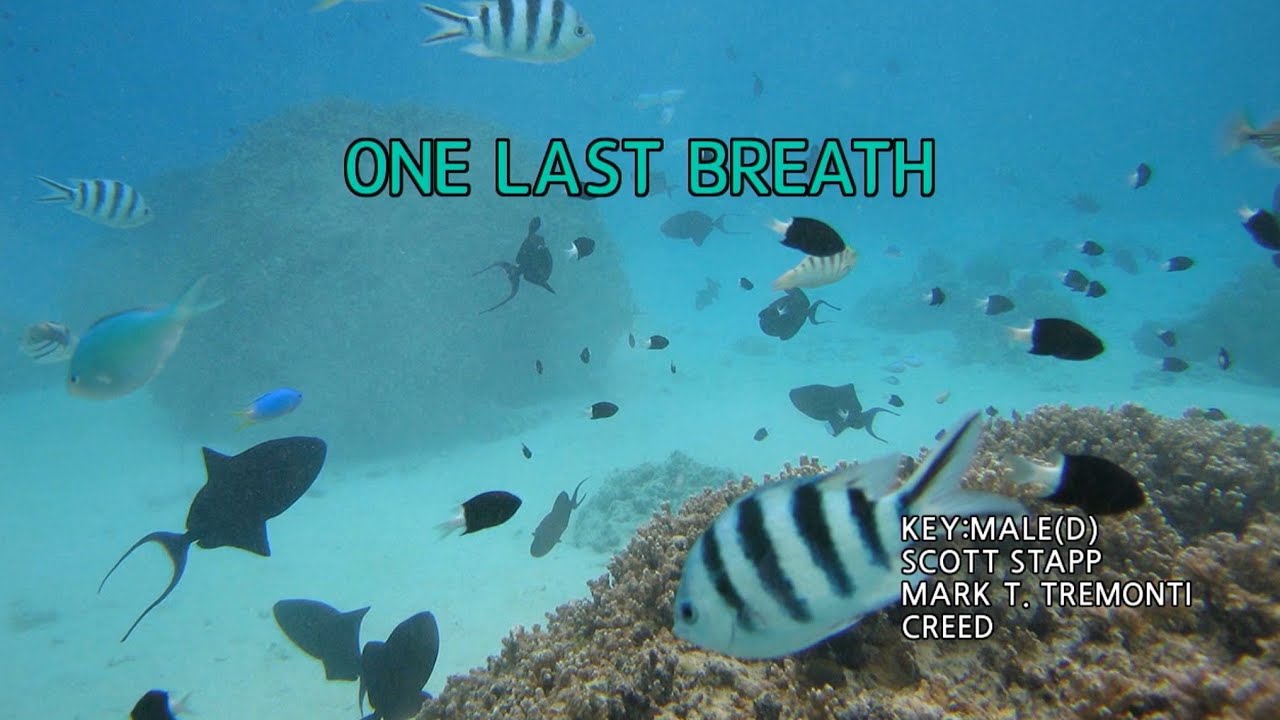 One Last Breath by Creed Xtreme Magic Sing (HD Karaoke) - YouTube