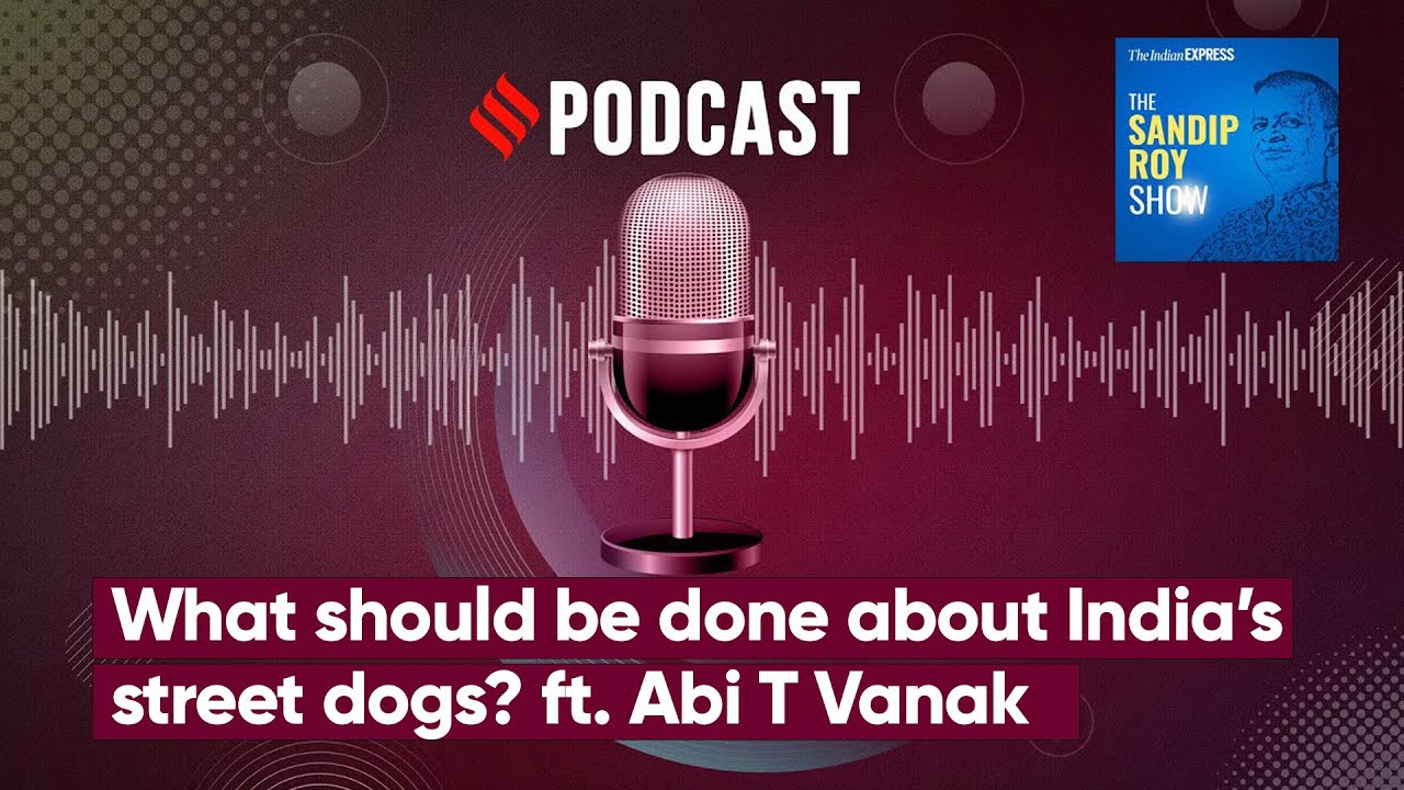 What should be done about India’s street dogs? ft. Abi T Vanak - YouTube