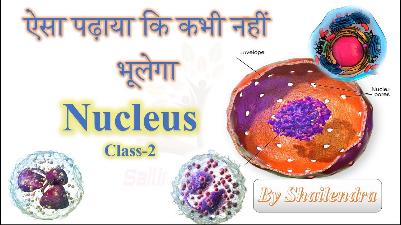 Nucleus Class-2 || Structure of Nucleus || Different types of Nucleus # ...