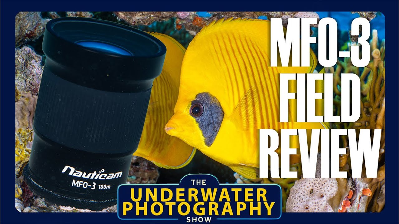 Shooting Nauticam's Forthcoming MFO-3 In The Red Sea - YouTube