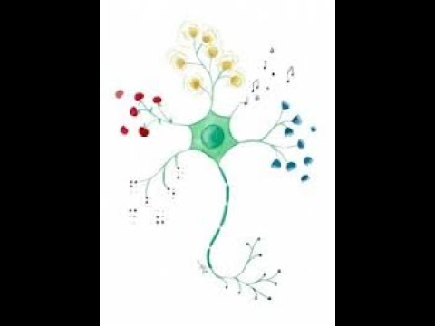 MindUp Training "Mindful Listening" - YouTube