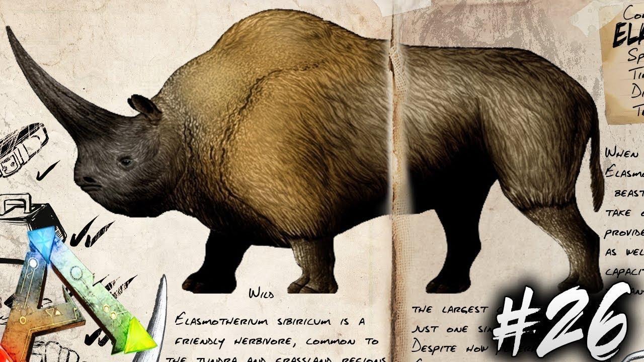 ELASMOTHERIUM | EL GRAN RINO DE UN SOLO CUERNO | DOSSIERS DE FANS #26 ...