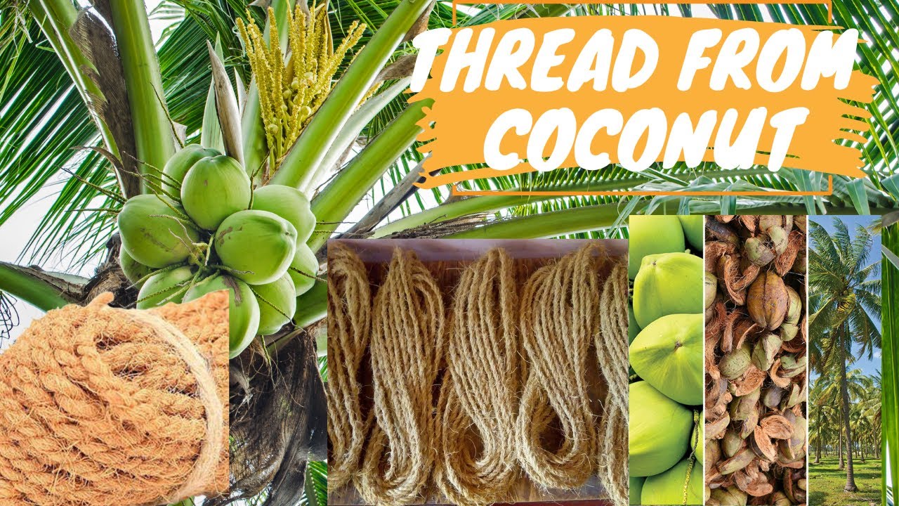 The Art of Coconut Thread Making: A Sustainable Textile Revolution ...