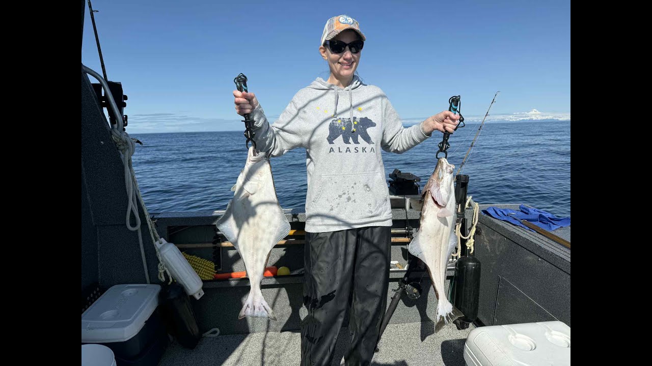 4k underwater footage 130.ft down Homer Alaska Fishing Halibut ...
