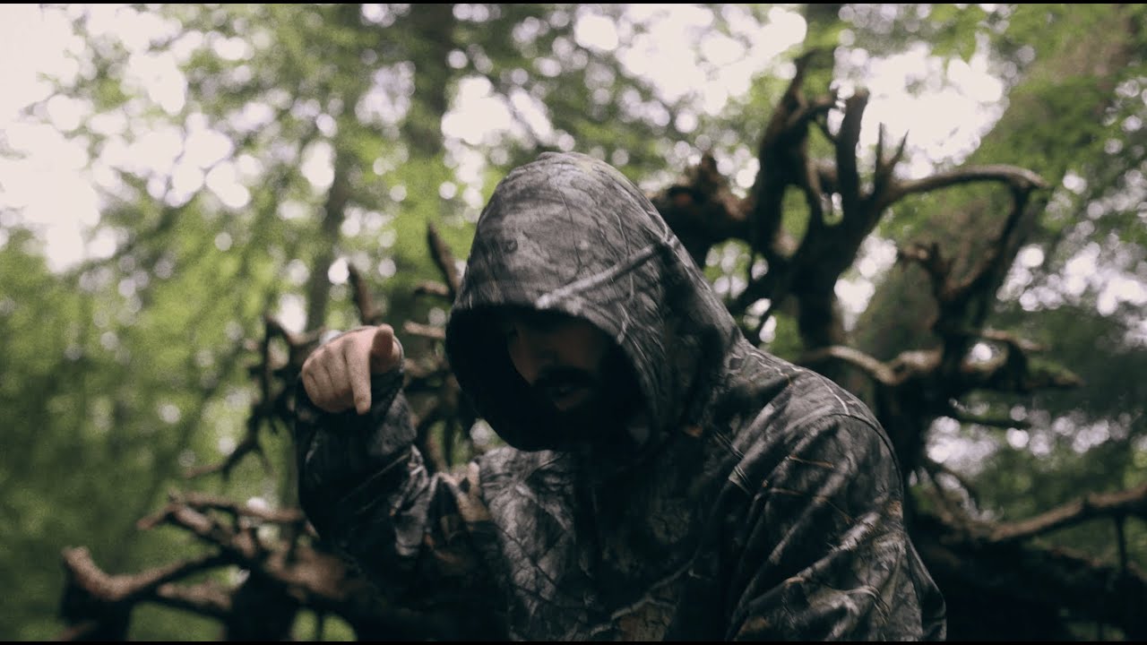 for the birds - Adam Yokum (visualizer) - YouTube