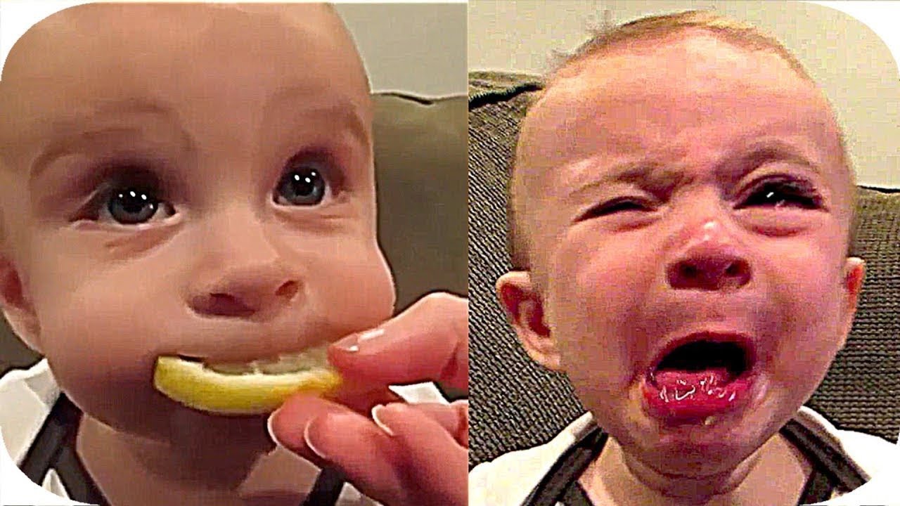 Hilarious Moments of Funny Babies That Will Make Your Day - YouTube