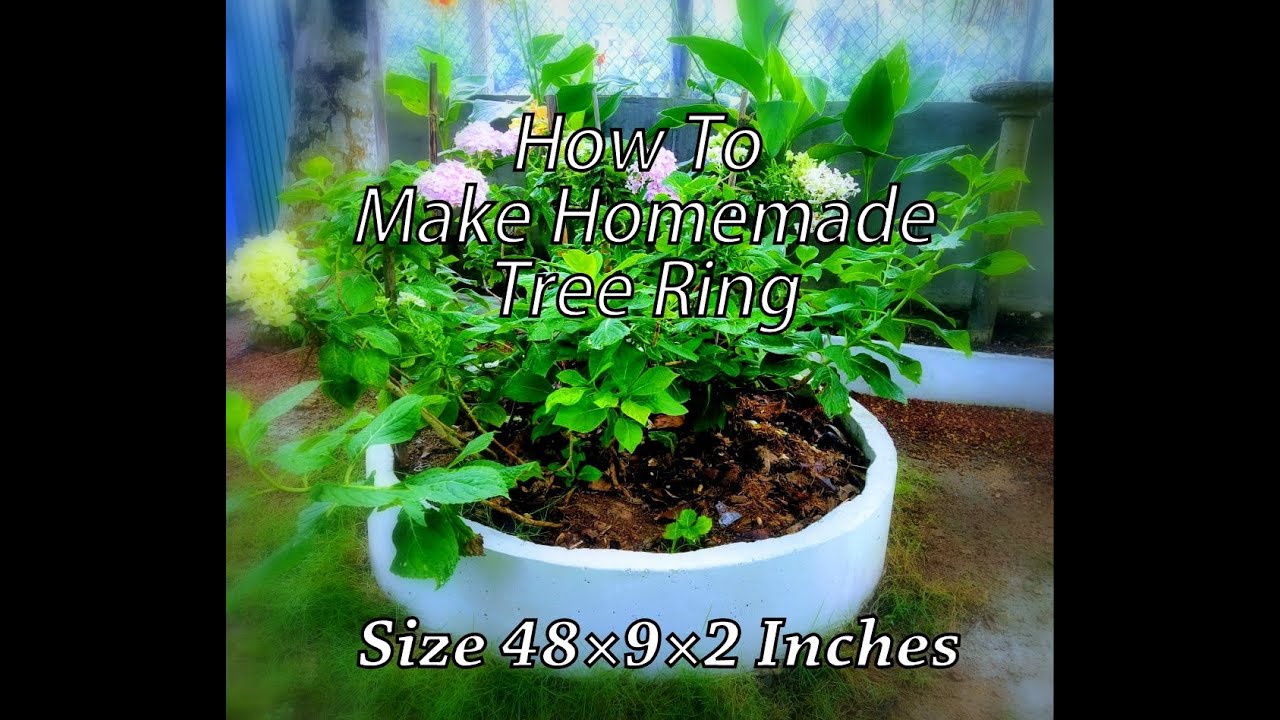 How to Make Homemade Tree Ring | Easy Steps - YouTube