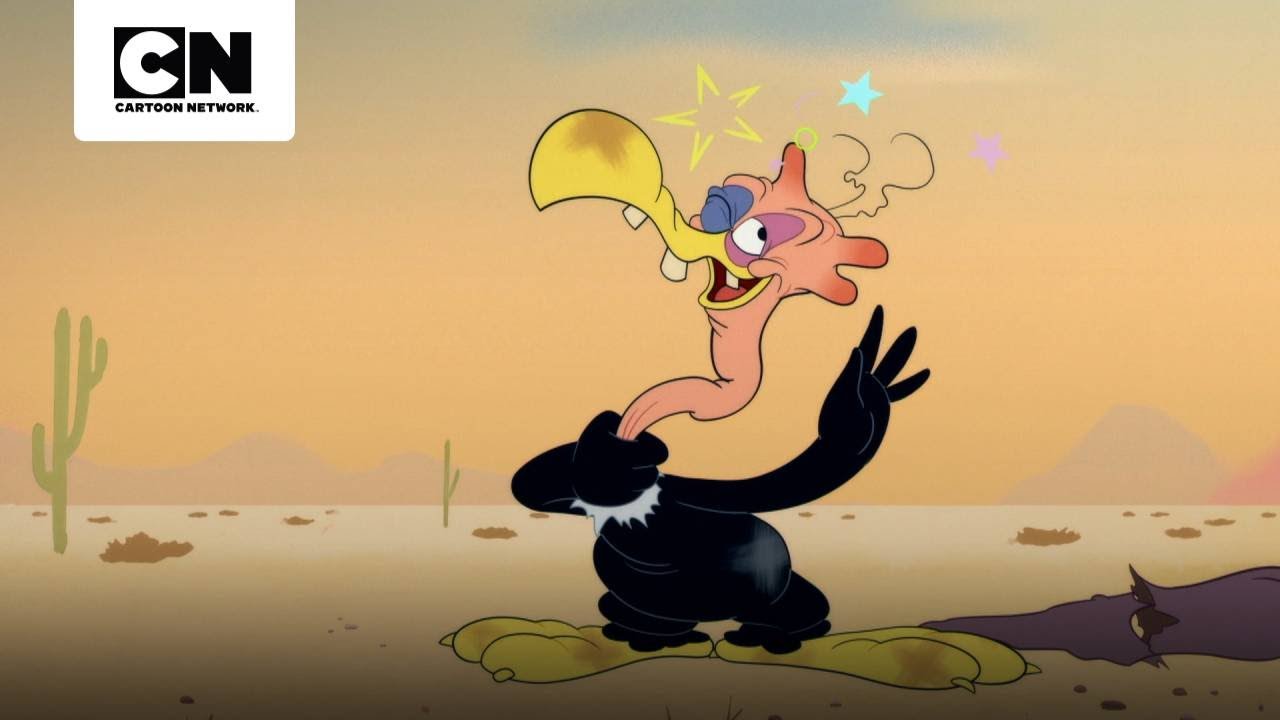 ESCUELAS PARA BUITRES | LOONEY TUNES CARTOON | CARTOON NETWORK - YouTube