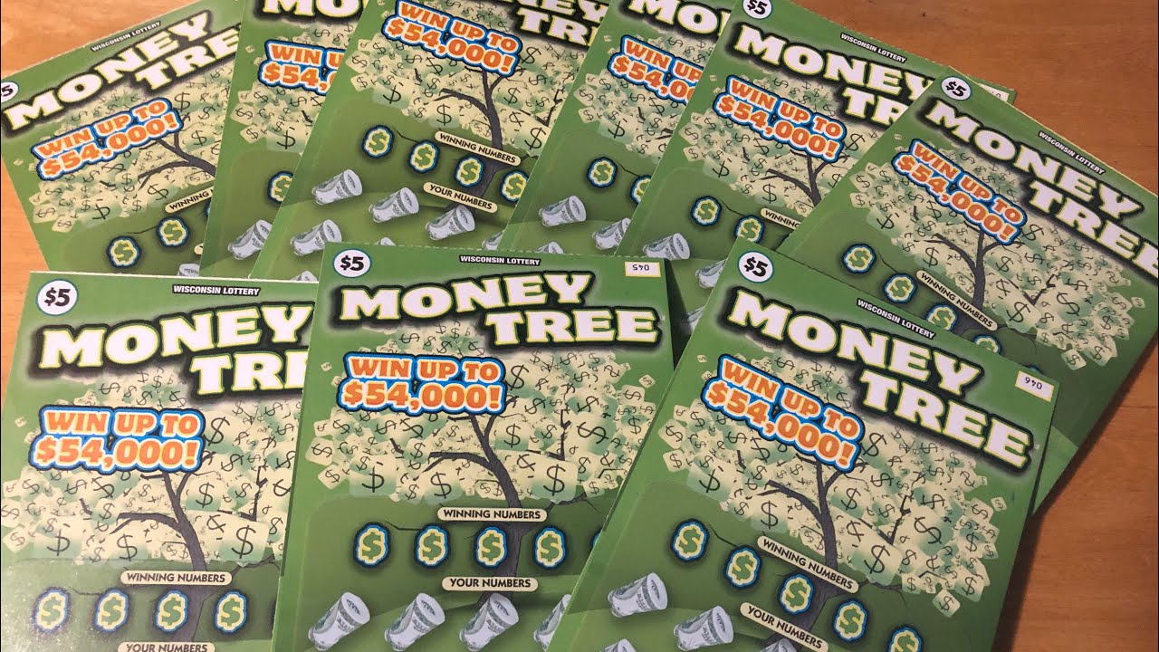 PLAYING 9 MONEY TREE TICKETS!! $45 SESSION! PROFIT!! Wisconsin Lottery ...
