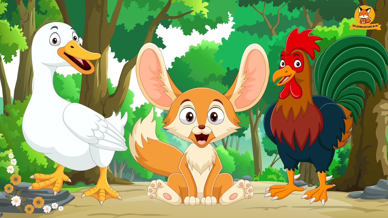 The Special Beauty of Animals - Duck, Rooster, Hen, Swan, Goose, Fox ...