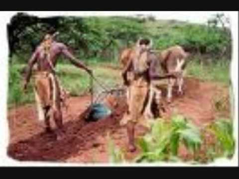 JAH MASON - FARMER MAN
