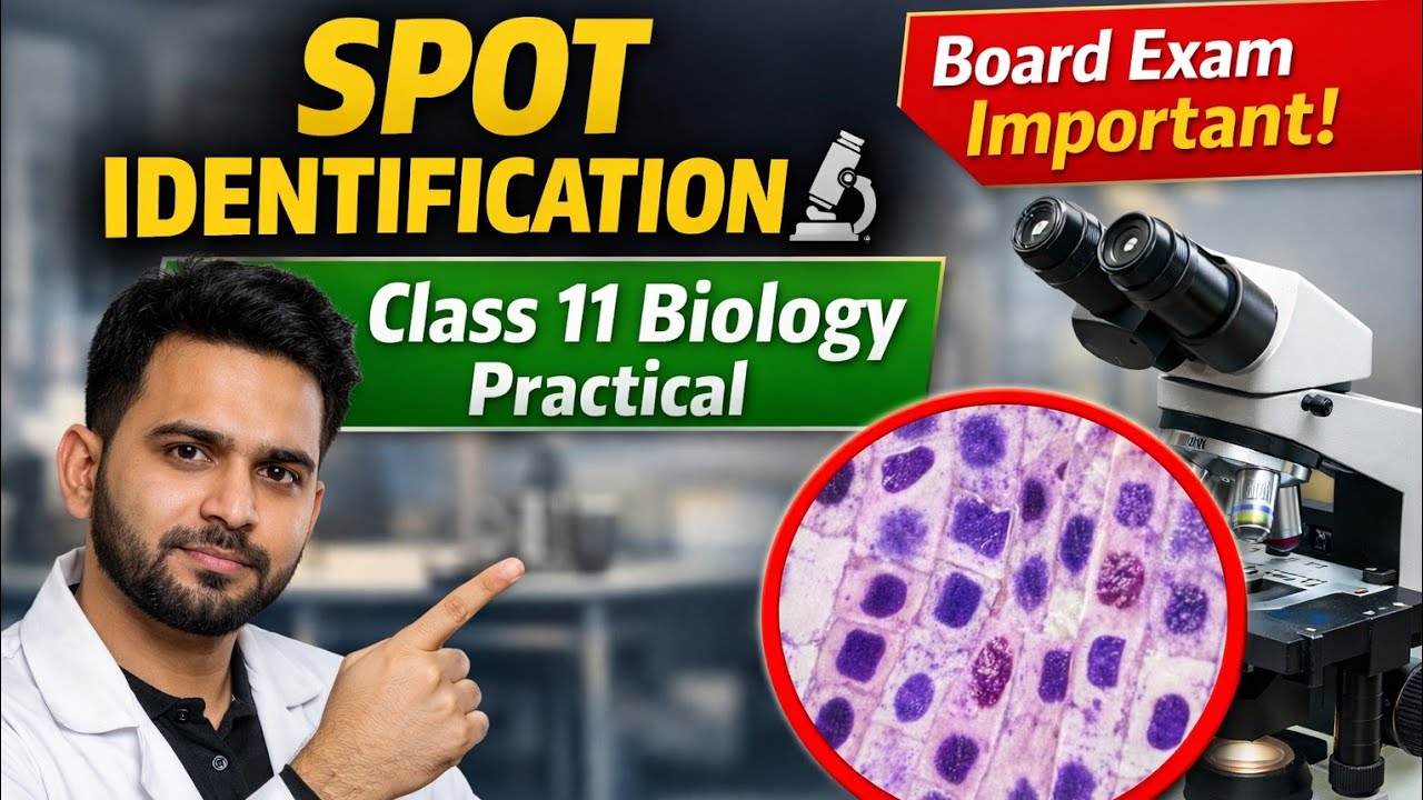 Class 11 Biology Practical 🔬 | Spot Identification in Lab (Full ...
