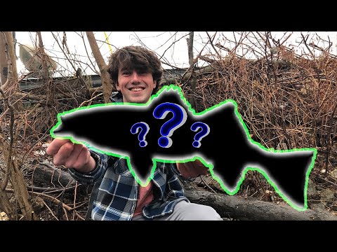Catching MYSTERY Saltwater Fish in FRESHWATER (Insane Action) - YouTube