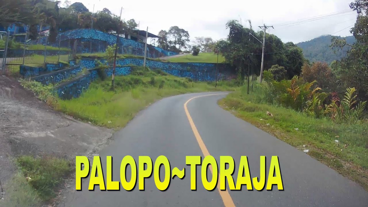 MENELUSURI JALAN POROS PALOPO TORAJA - YouTube