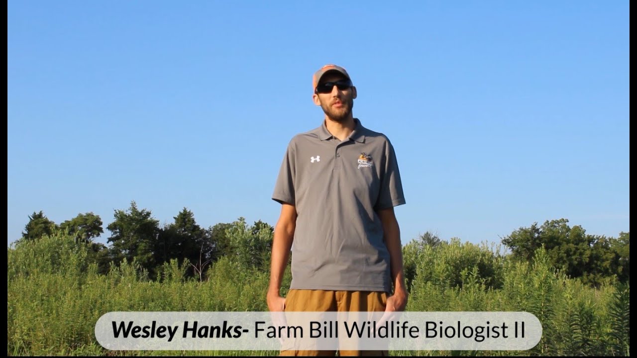 Tips for Surviving the Missouri Summer with Wesley Hanks - YouTube