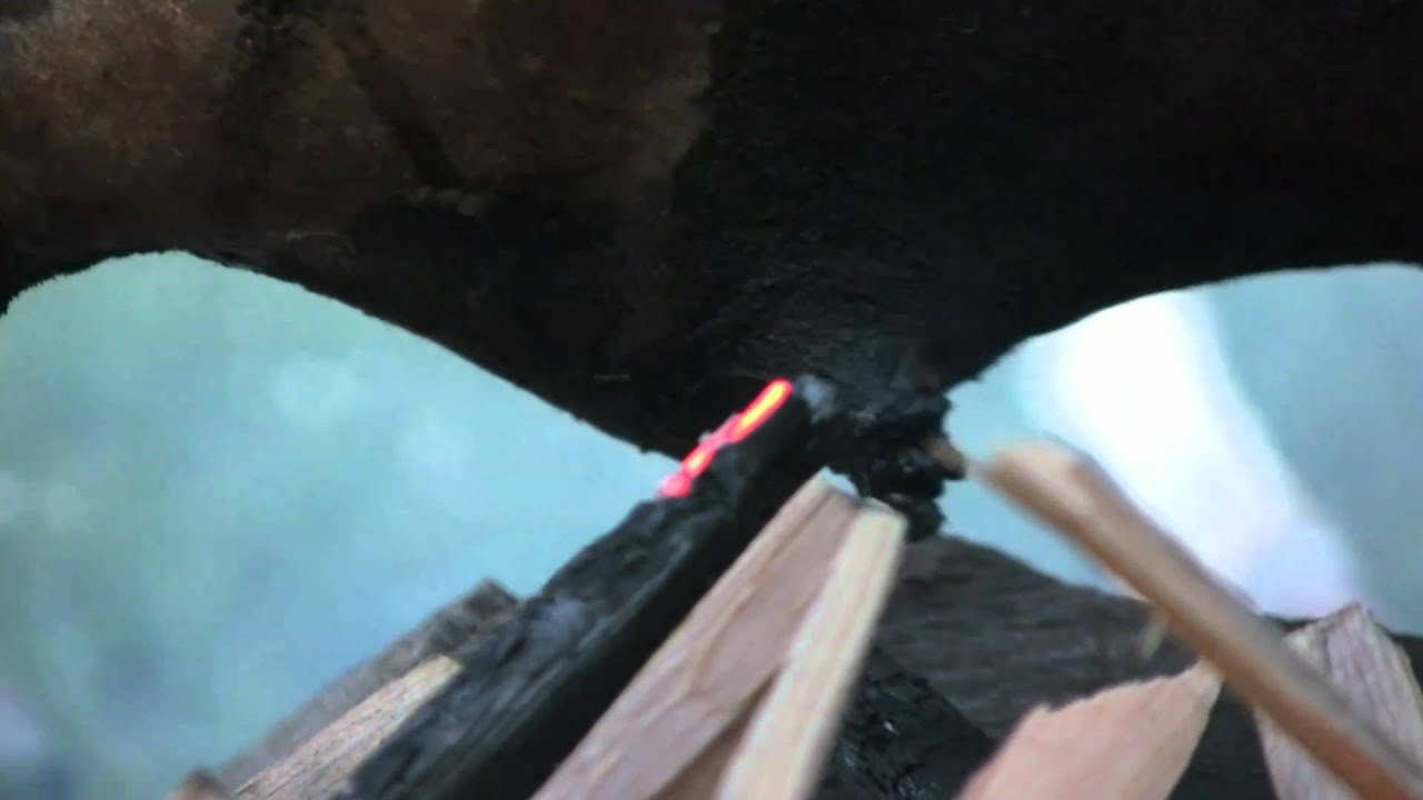 marmot roast - YouTube