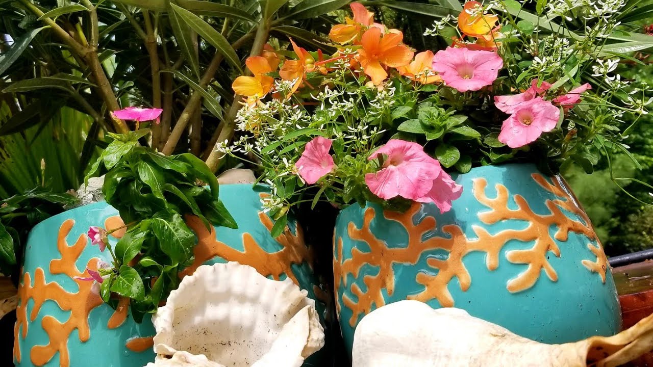 Nautical Coral Planters! Oleander Begonia Vinca Euphorbia Supertunias ...