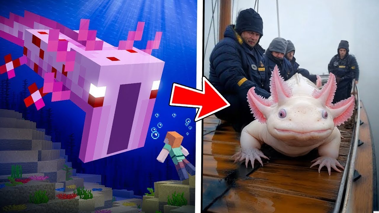 Minecraft Rarest Mobs That CAUGHT On CAMERA! - YouTube
