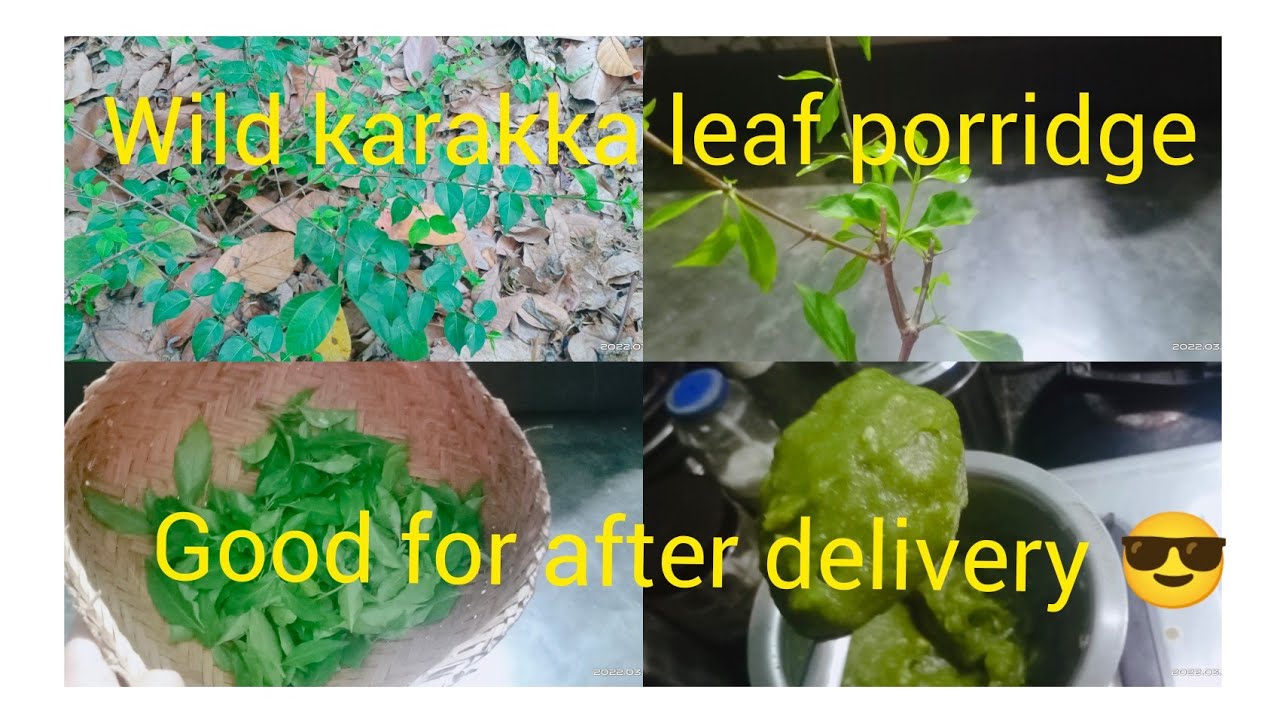 Wild karakka leaf porridge 😎😍Karayila kurukku#d&d cakes and dreams ...