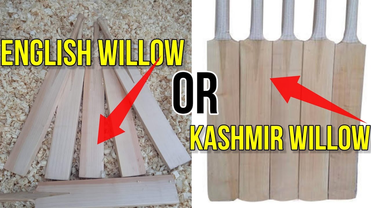 7 Key Differences Between English Willow And Kashmir Willow Cricket 7-key-differences-between-english-willow-and-kashmir-willow-cricket