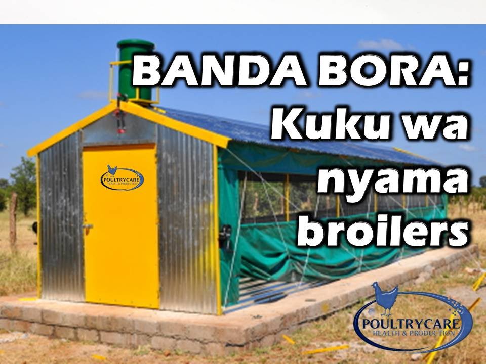 BANDA BORA LA KUKU WA NYAMA (BROILERS) - YouTube
