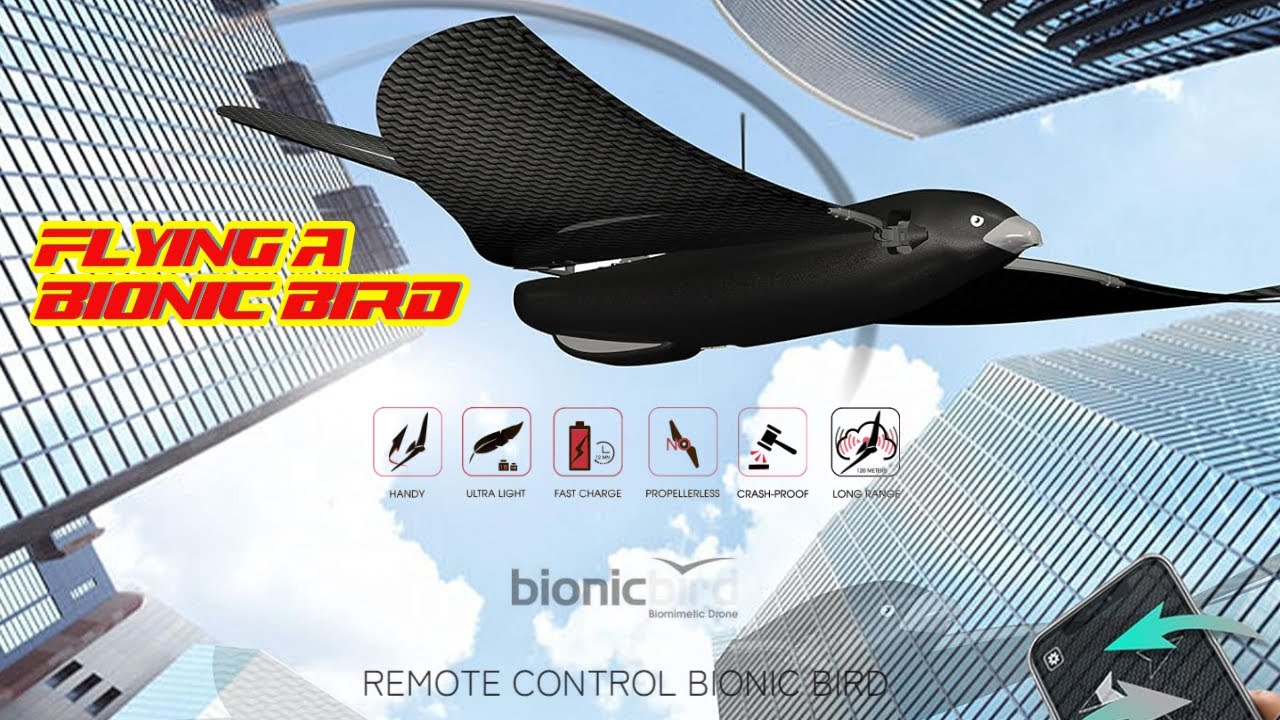 Bionic Bird - YouTube