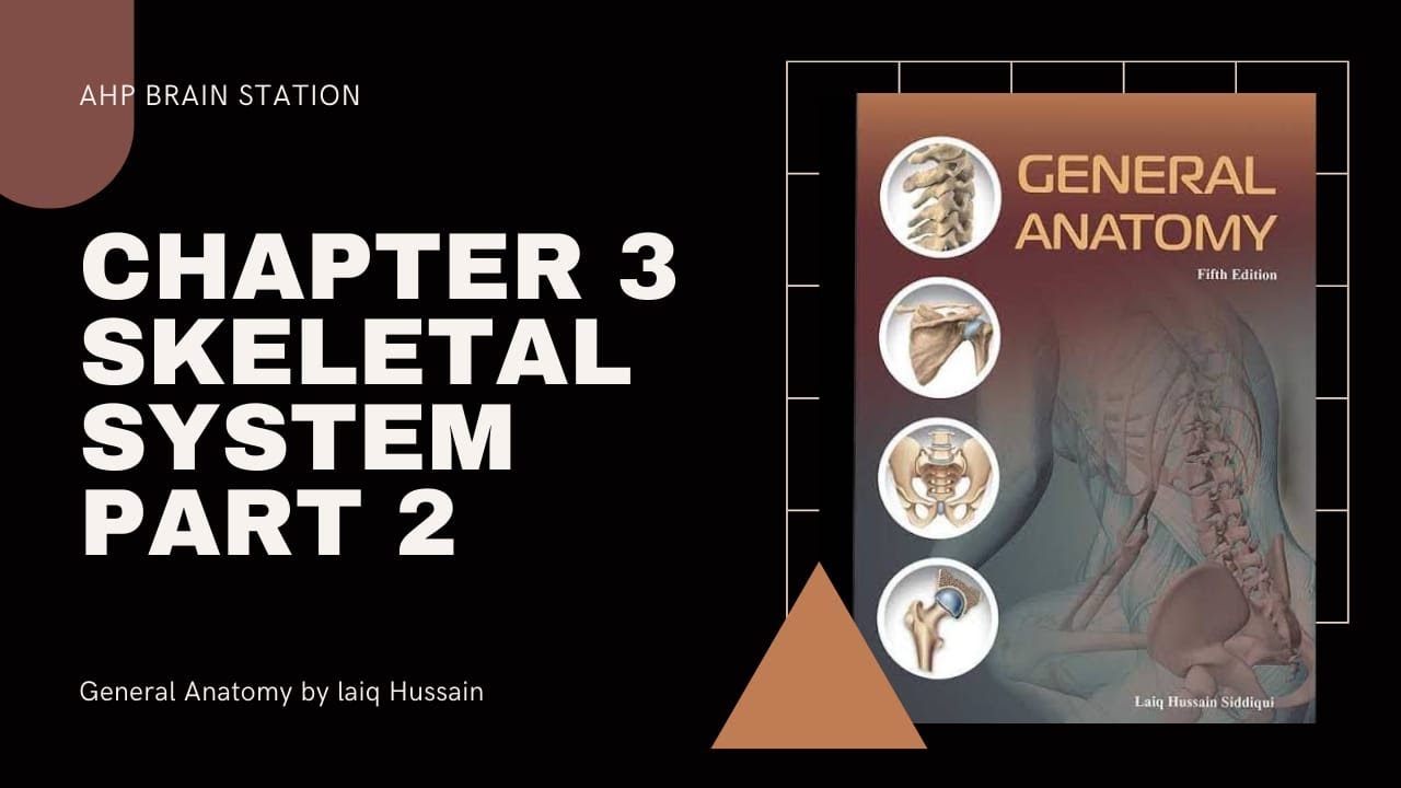 General Anatomy lecture #2 Regional distribution of Bones with 3D ...