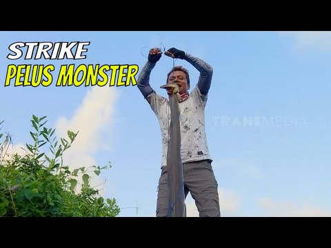 Berburu Pelus Monster Di Perairan Cilacap | MANCING MANIA STRIKE BACK (02/07/23) Part 1