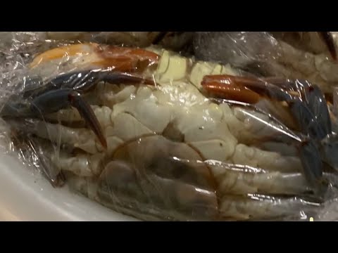 Catching Softshell Crabs from Crab Pots - YouTube