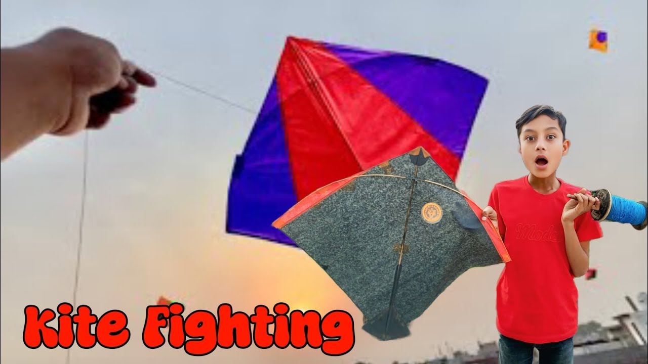 Kite fighting | kite fighting on Sunday | how to cut other's kite ...