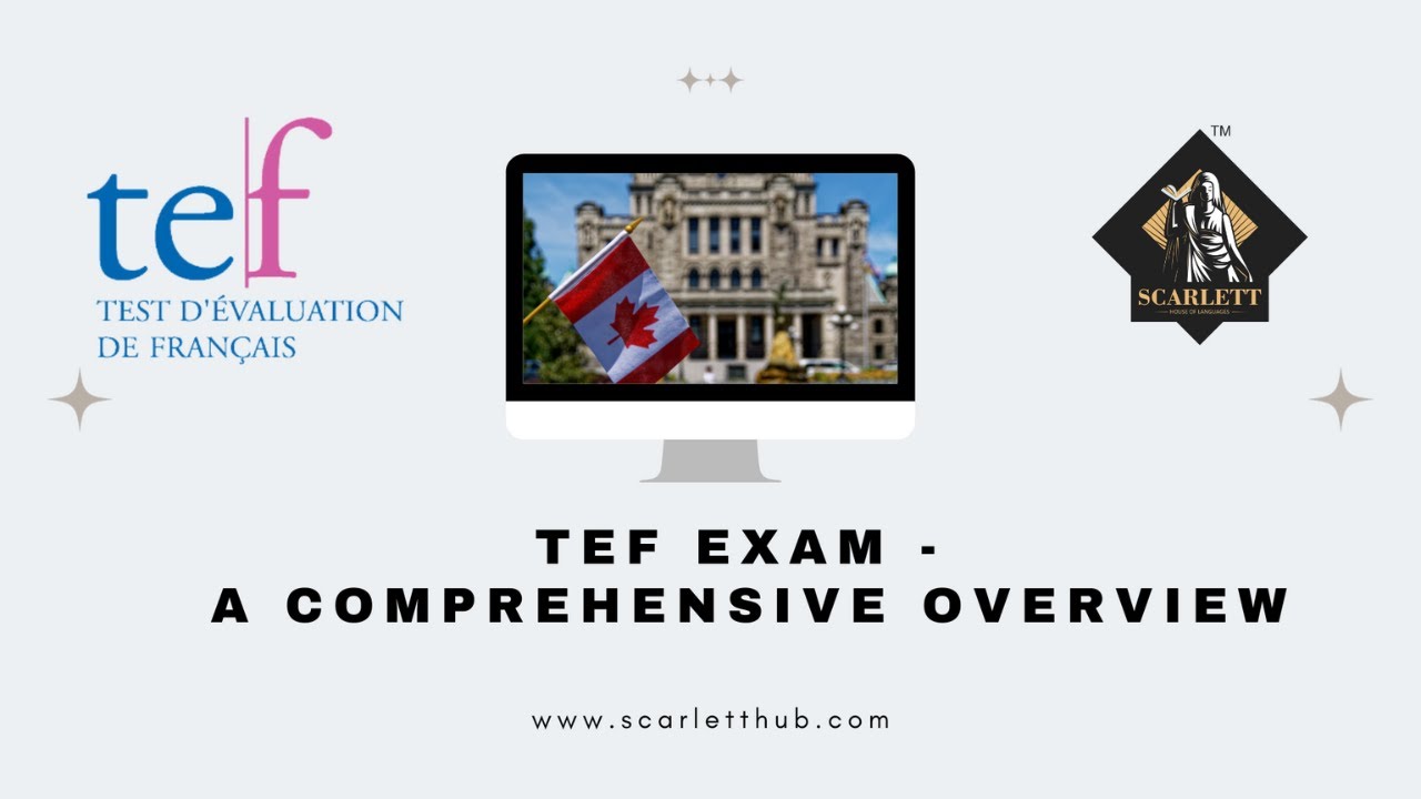 TEF Exam Overview | Everything You Need to Know About the Test d ...