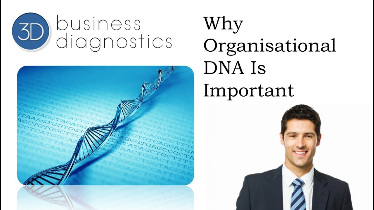 3D Business: Why Organisational DNA Is Important - YouTube