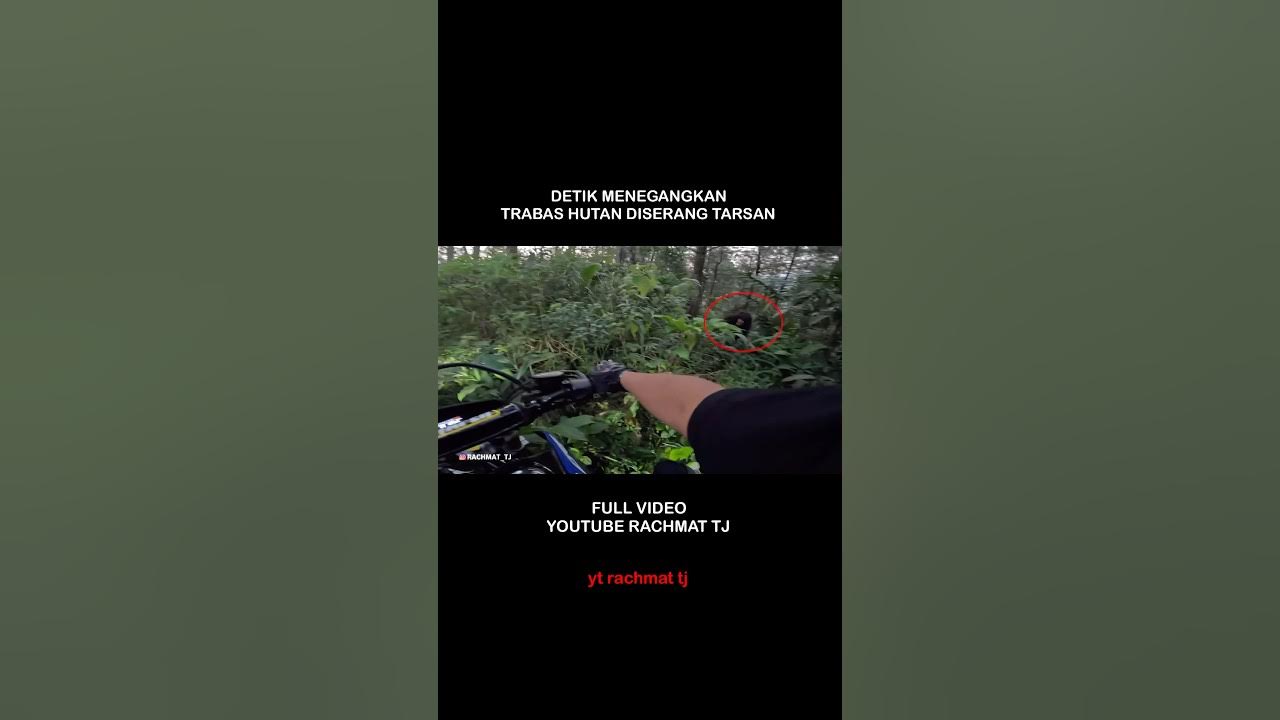 Trabas hutan horor #shorts - YouTube