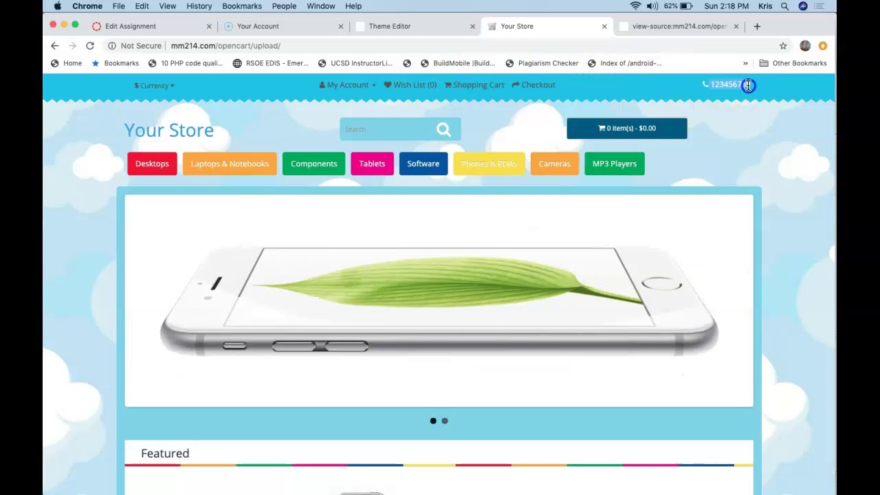 Webd 173 - Overview of Design Layouts and Theme Editor - YouTube