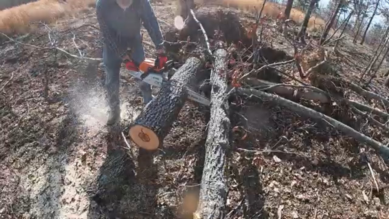 Clearing Land with Chainsaw, Dozer, & Fire! on Gilliam Farms... - YouTube