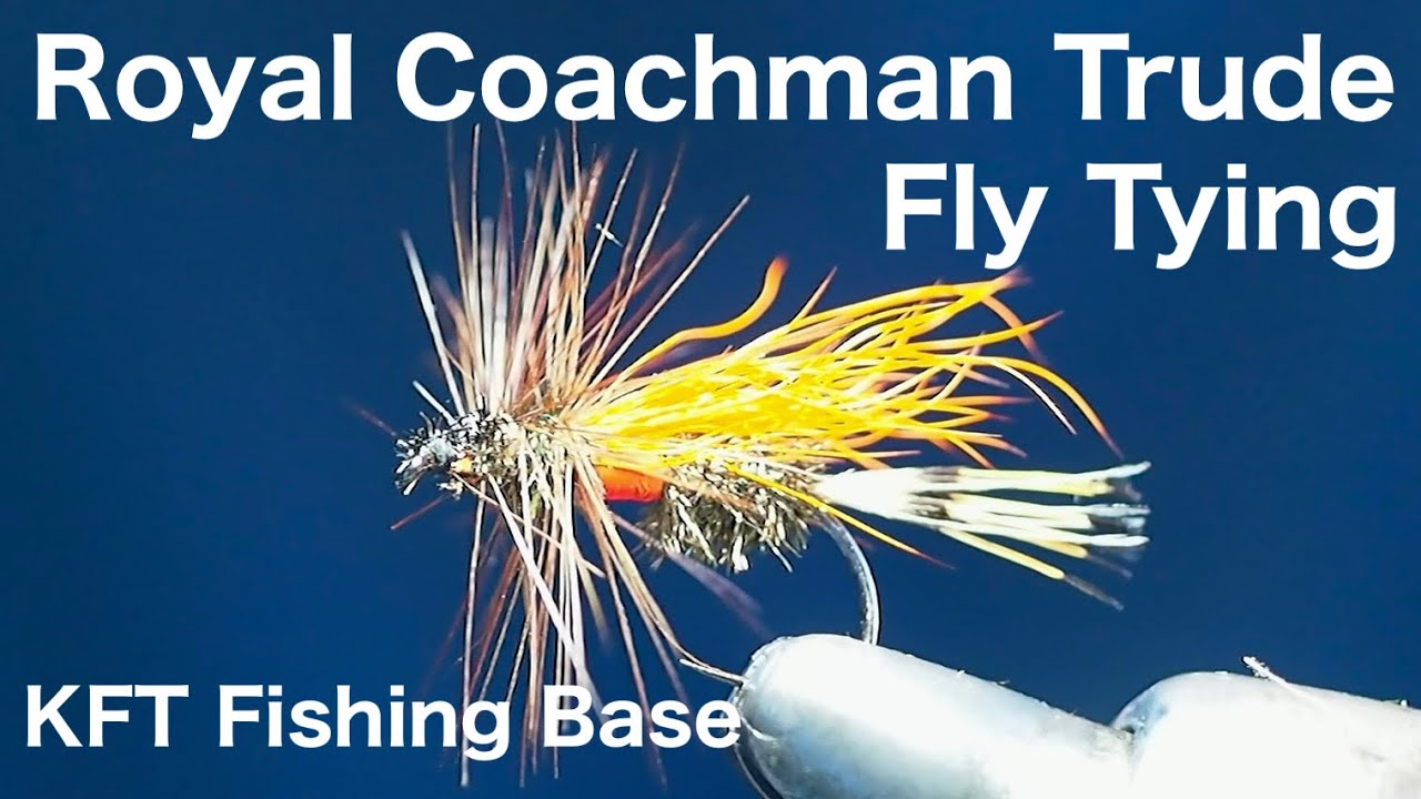T802_【Fly Tying】 Royal Coachman Trude - YouTube