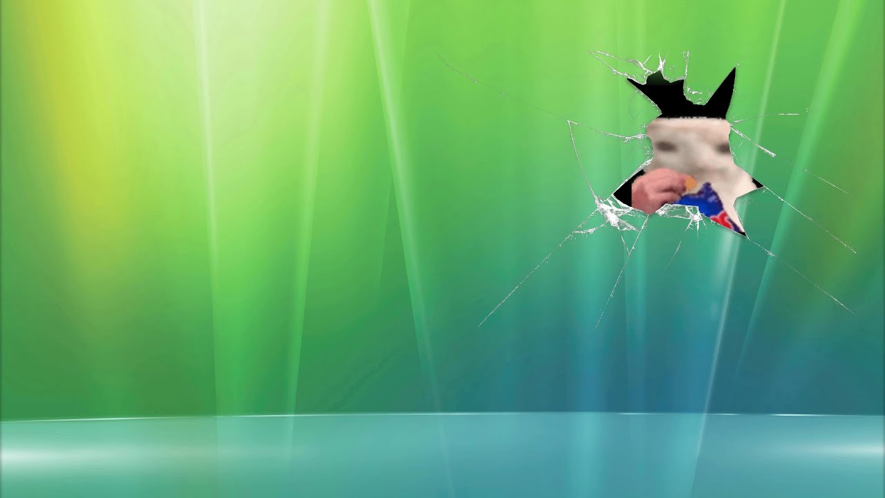 1 Hour Cat eating a chips in the Windows Vista wallpaper FULLSCREEN ...