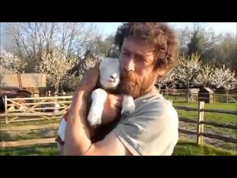 Man Hugs Baby Goat - YouTube