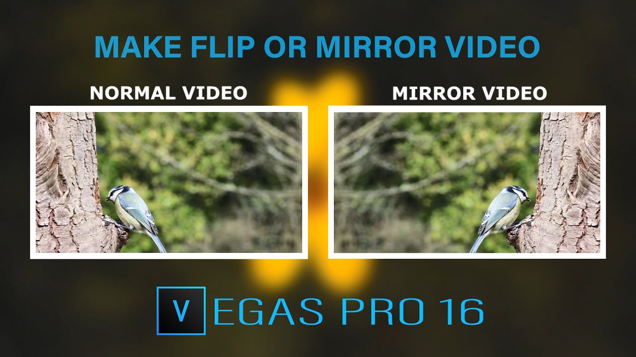 Vegas 16 Pro How To Create Flip Or Mirror Video YouTube Vegas 16 Pro How To Create Flip Or Mirror Video YouTube