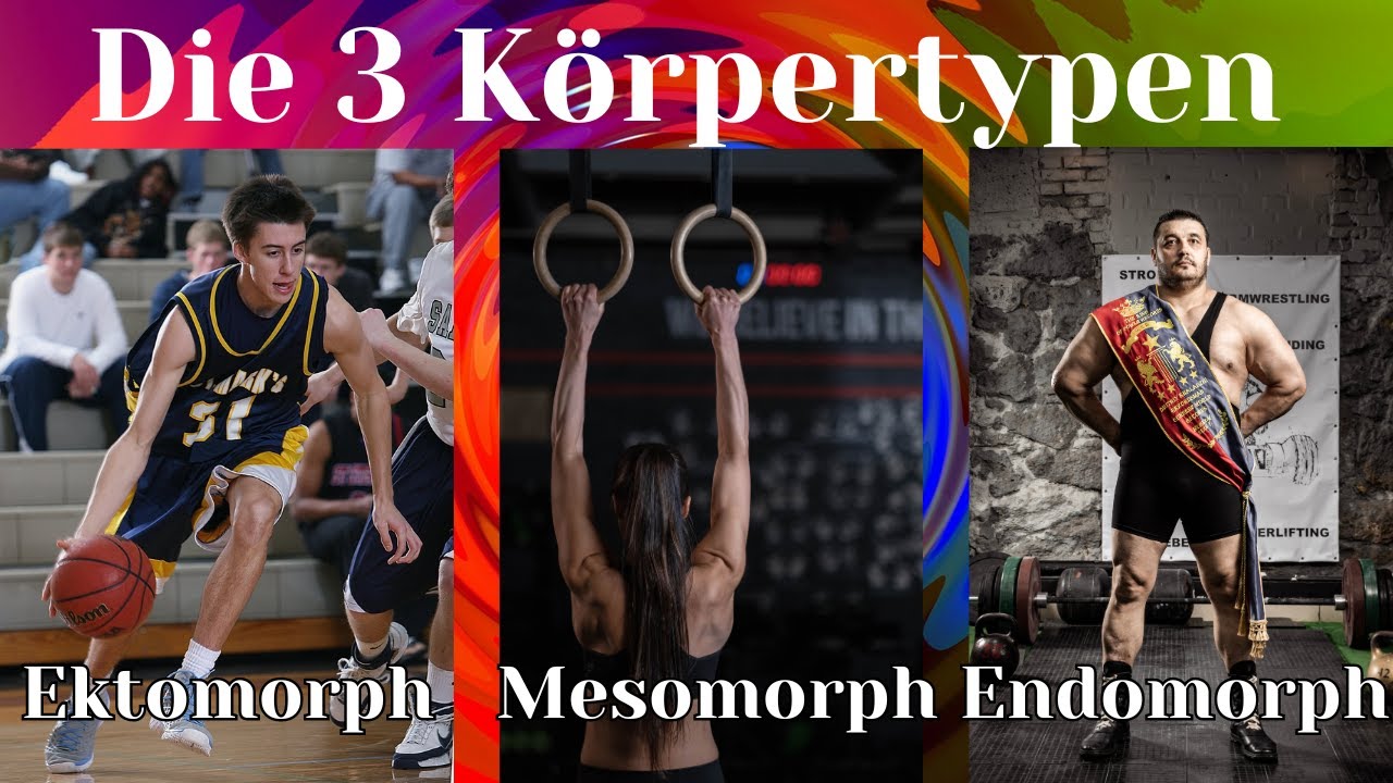 Die 3 Körpertypen - | Ektomorph, Mesomorph, Endomorph ( re-upload ...