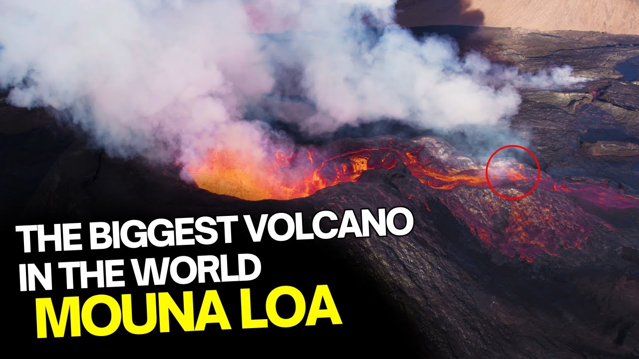 The Biggest Volcano in The World - Mouna Loa - YouTube