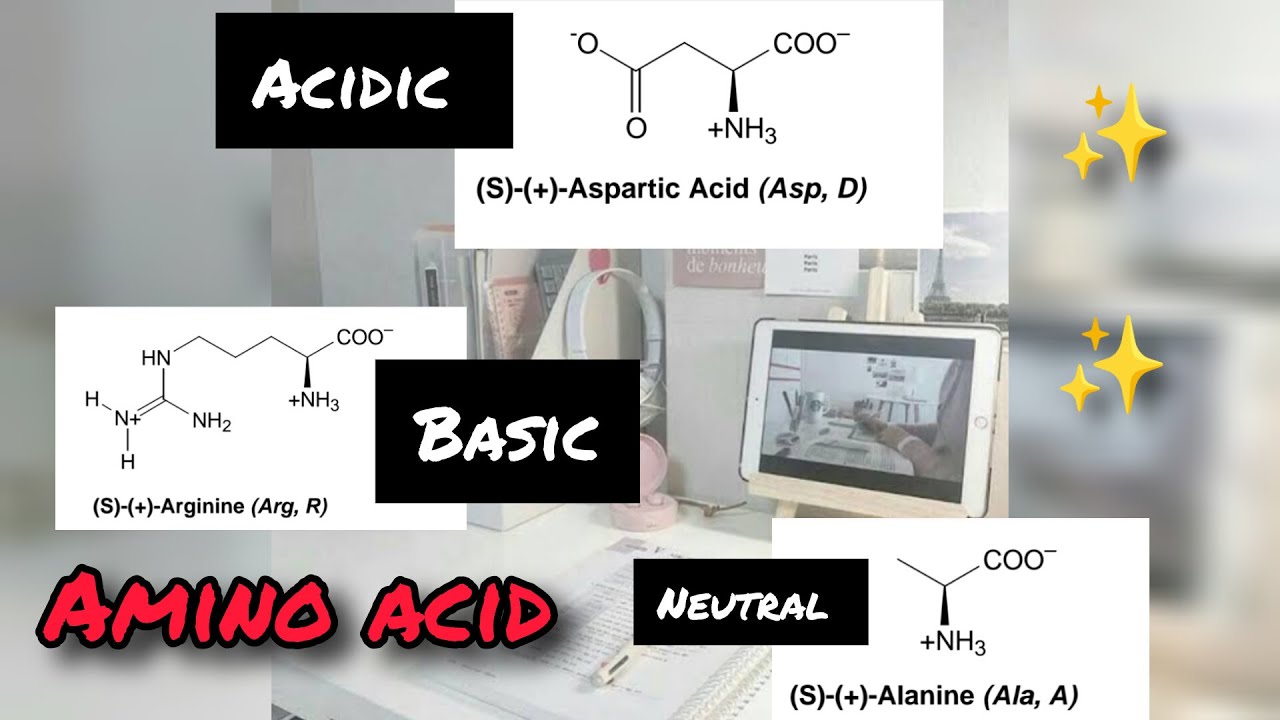 Acidic, basic and neutral amino acids 💭 - YouTube