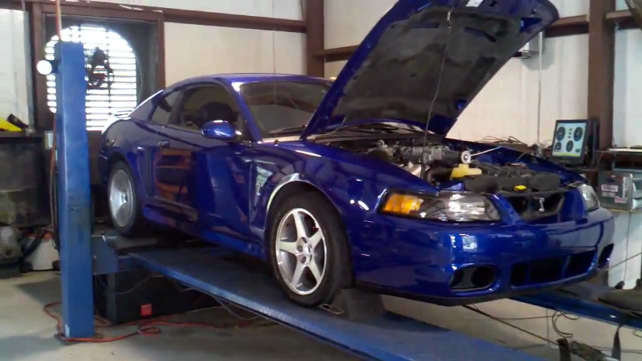 03 Sonic Blue Cobra Terminator dyno - YouTube
