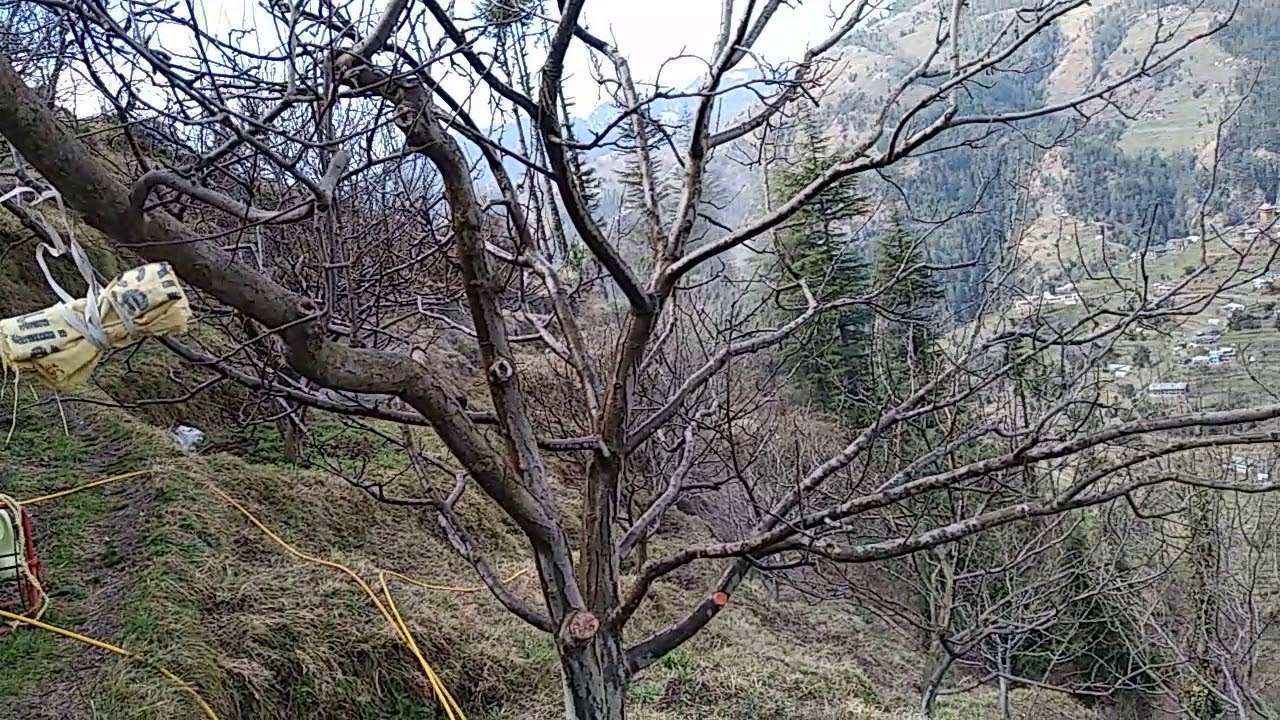 RANA ORC..KOLTHA - YouTube