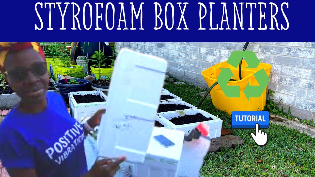 How to Make a Planter out of a Foam Box. CHEAP DIY PLANTER @Yaje Ngala ...