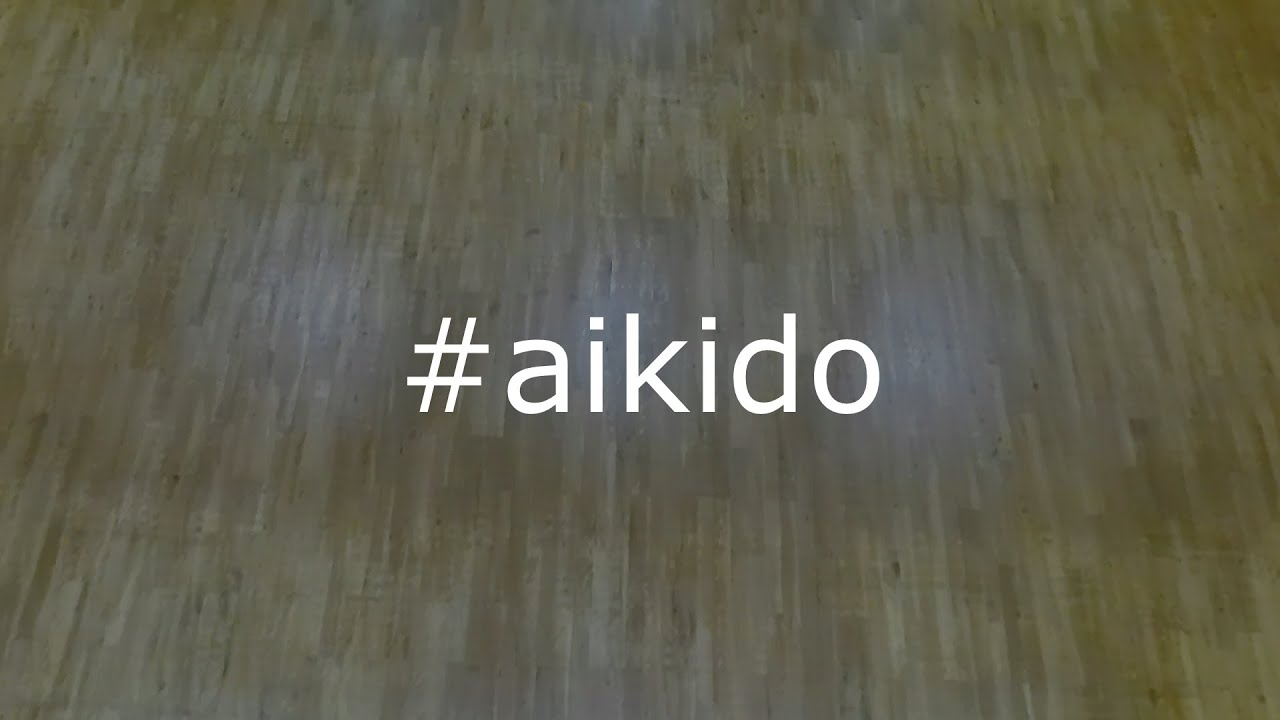aikido - 4th kyu exam - YouTube